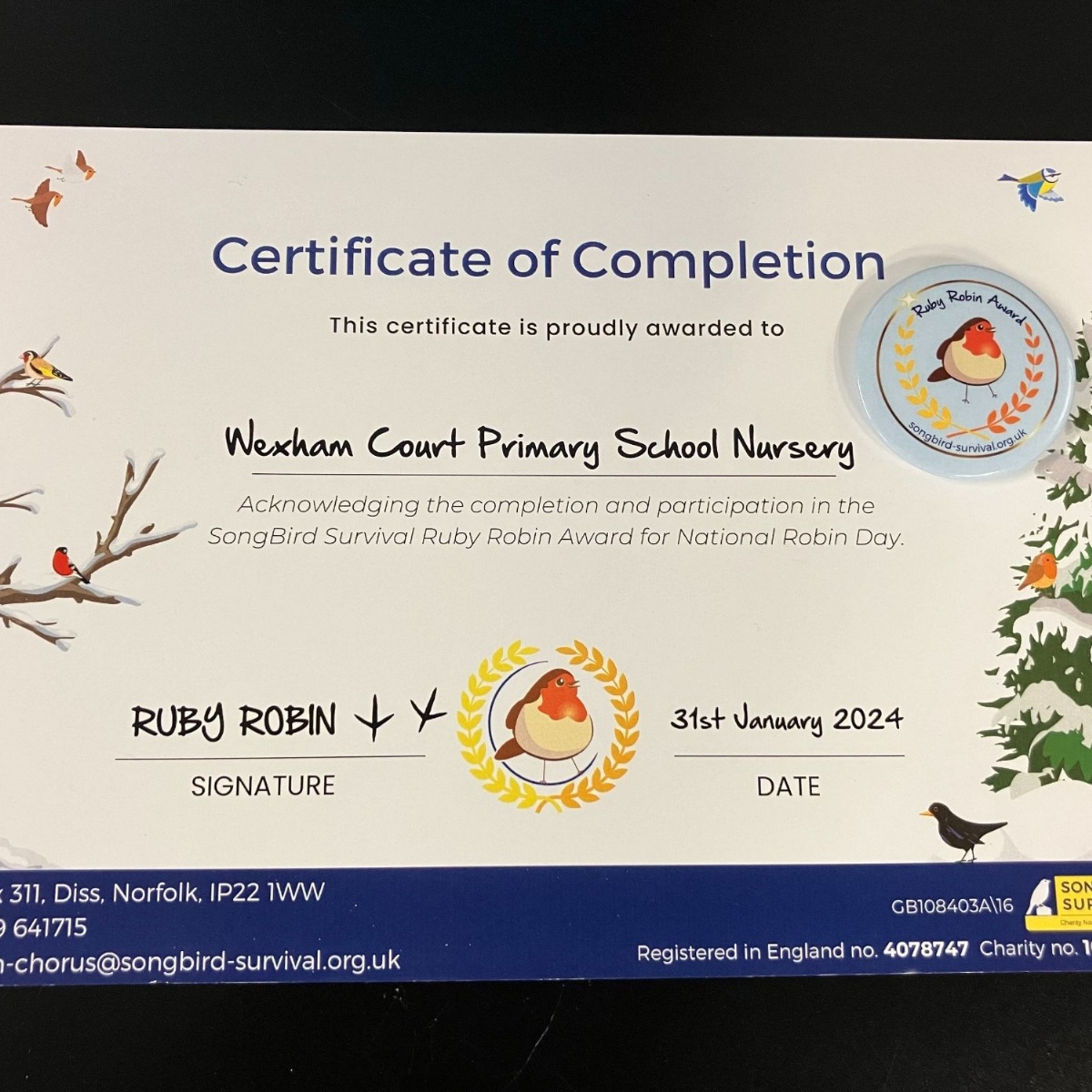 Wexham Court Primary - Nursery Ruby Robin Songbird Award